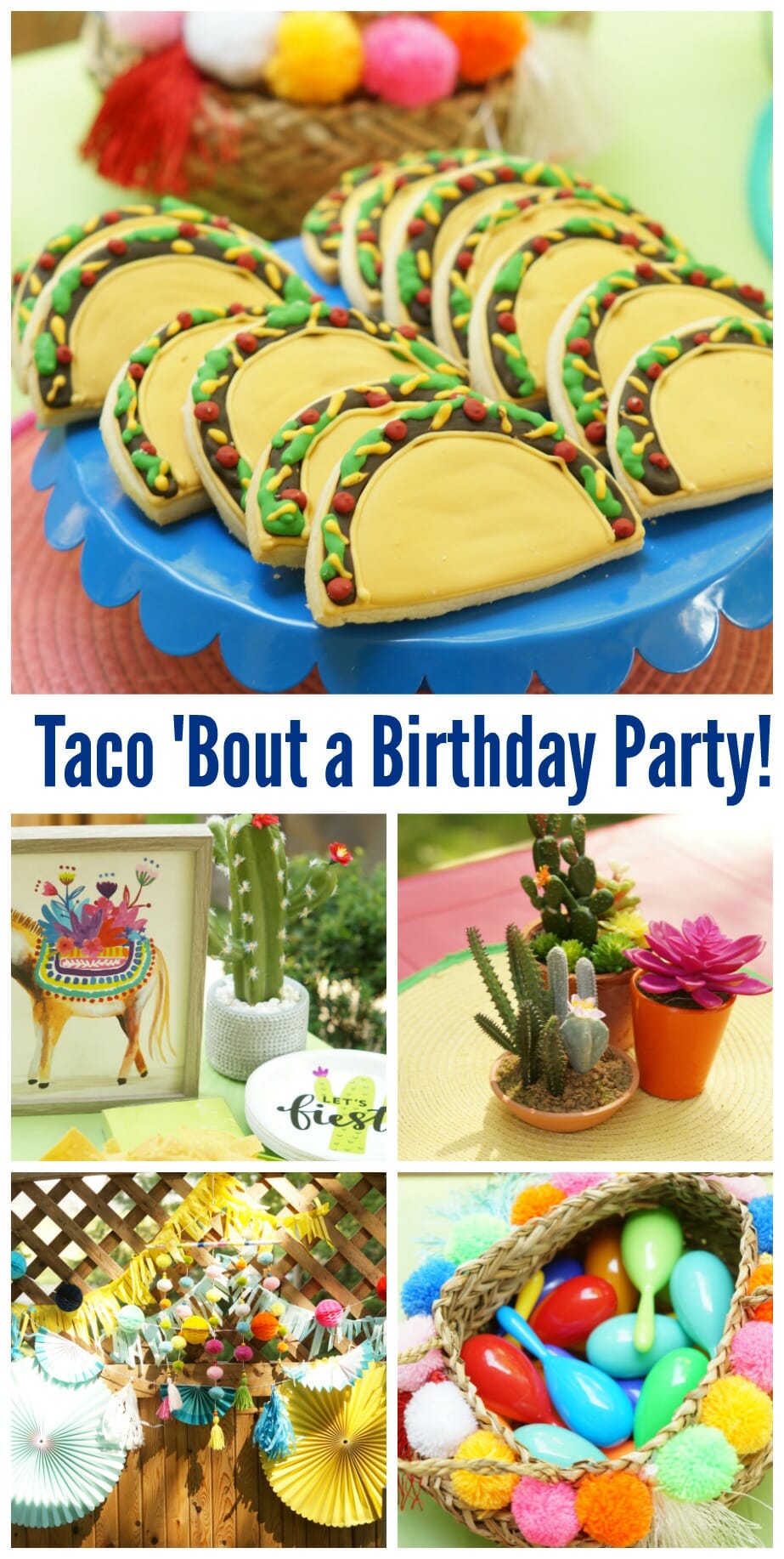 Taco 'Bout a Birthday Party!