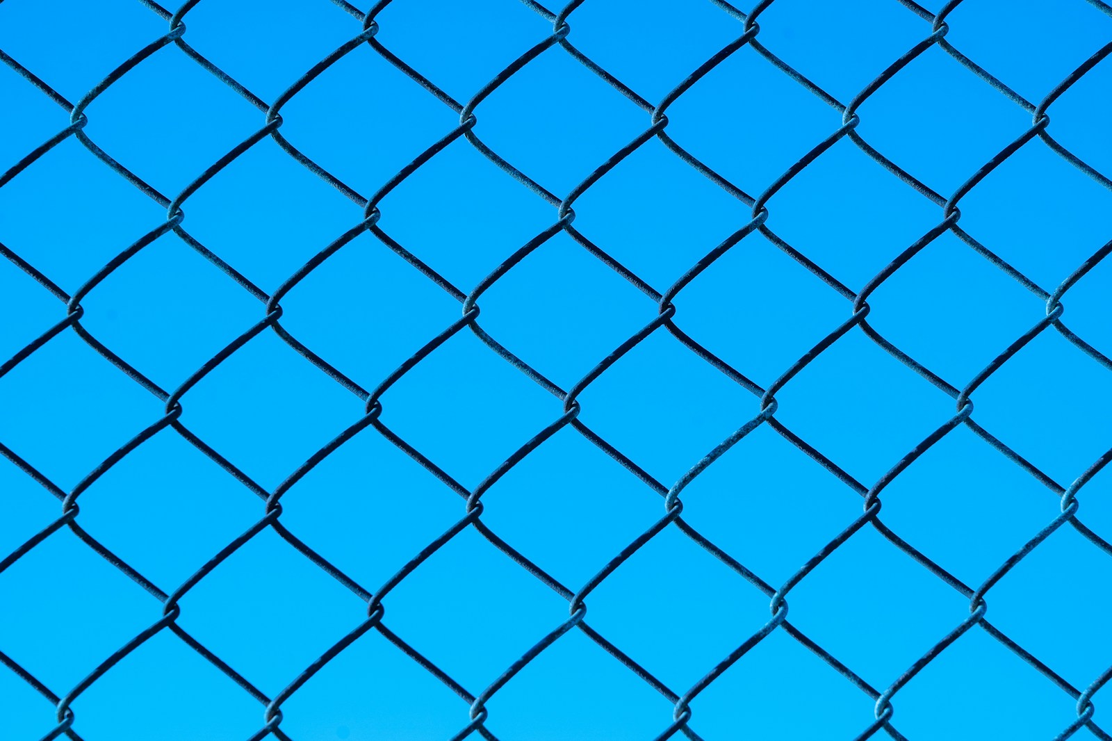 Chain Link Fencing: DIY or Hire a Pro? A Guide for Homeowners